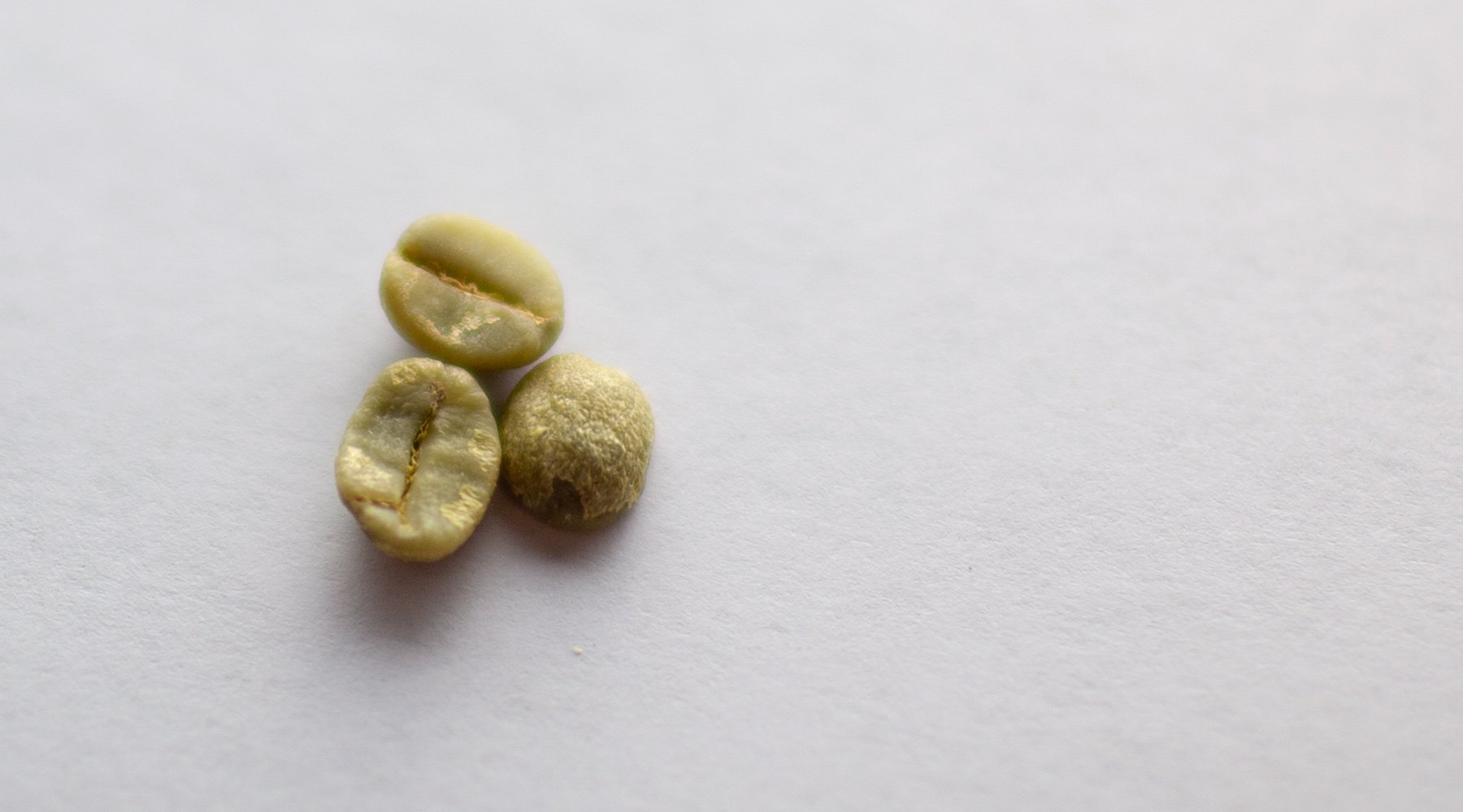 Swiss Water Process Coffee, The Only Way We Offer Decaf.