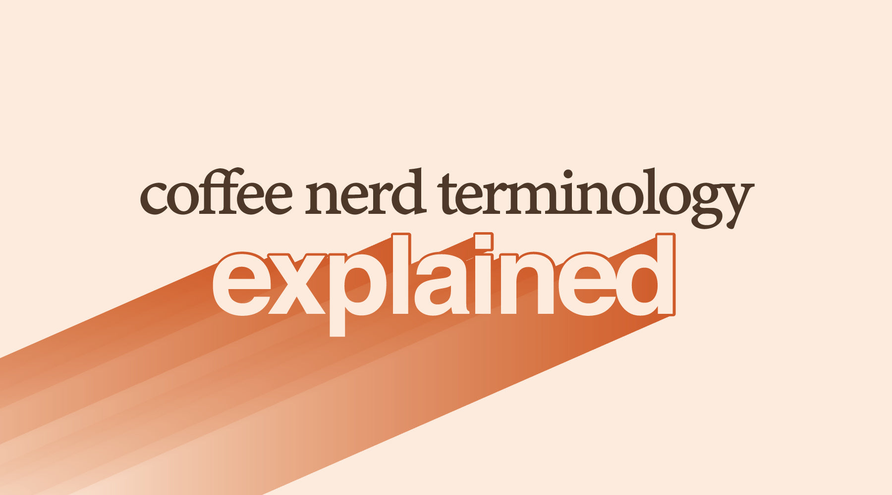 Coffee Processing; Making sense of the Coffee Nerd Terminology